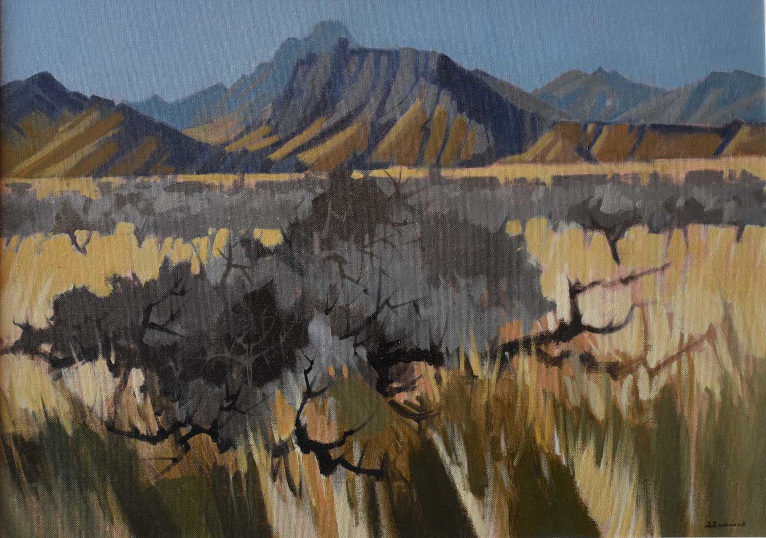 Matagouri and leibug range mount cook national park - Brian Badcock